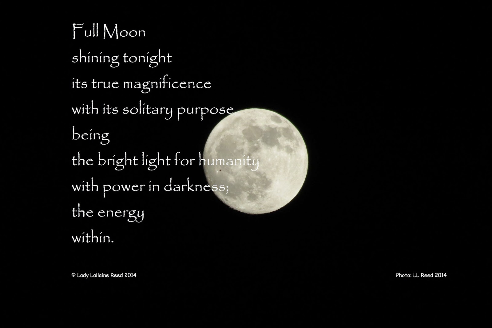 Lady Lallaine Reed's Positive