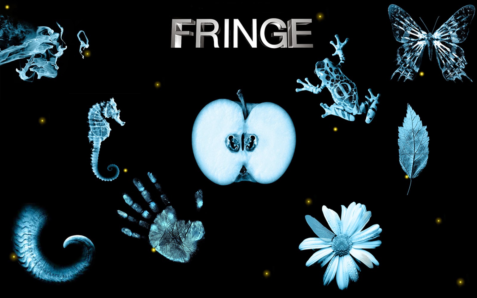 Ana Maygon: Series del recuerdo: Fringe