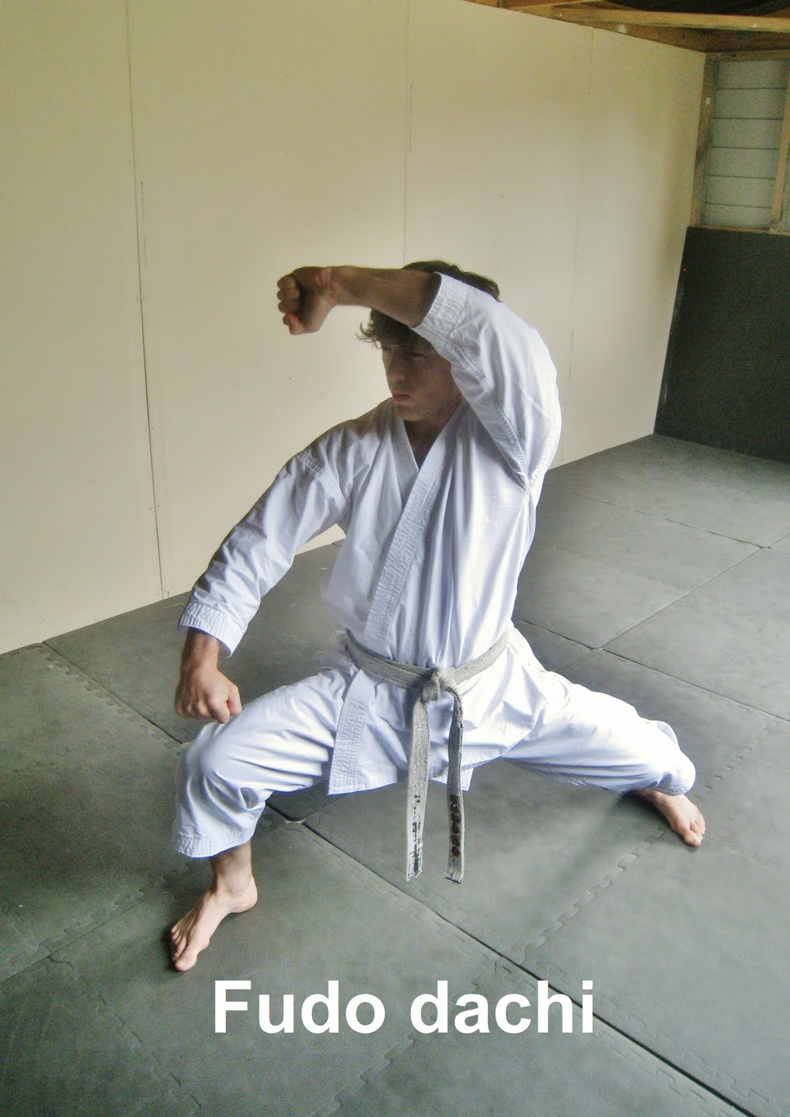 André Bertel's Karate-Do: Taking a stance!