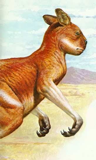 Koprolitos: ZOOBOOKS: Procoptodon goliah (y megafauna australiana)