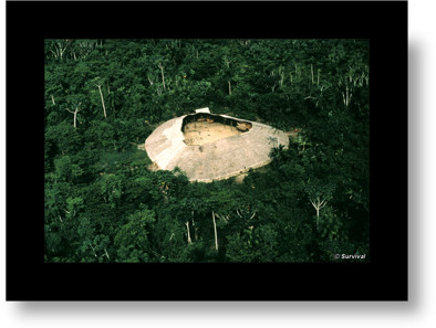 Human Challenge: Yanomamo