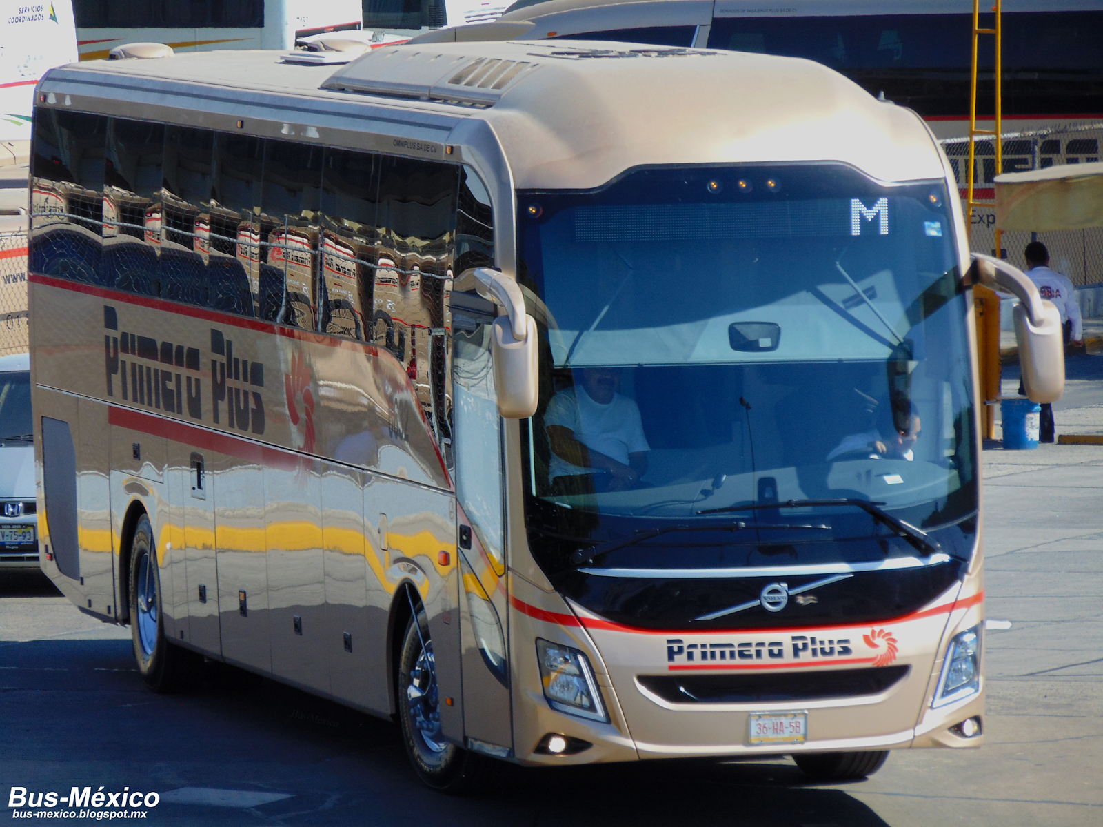 Primera Plus - Bus-México