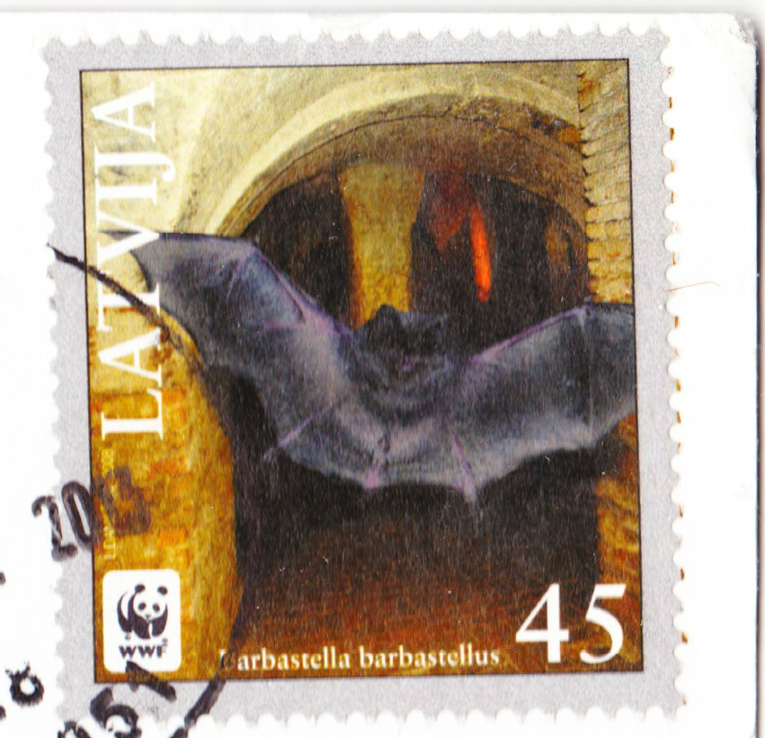 Papergreat: Illustrated postcard mailed in 1907 and a bat stamp from Latvia