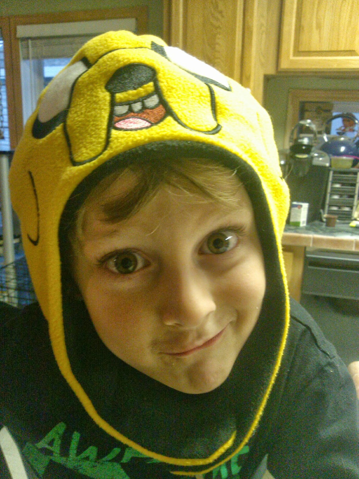 A Lucky Ladybug: Adventure Time: Jake the Dad DVD Review