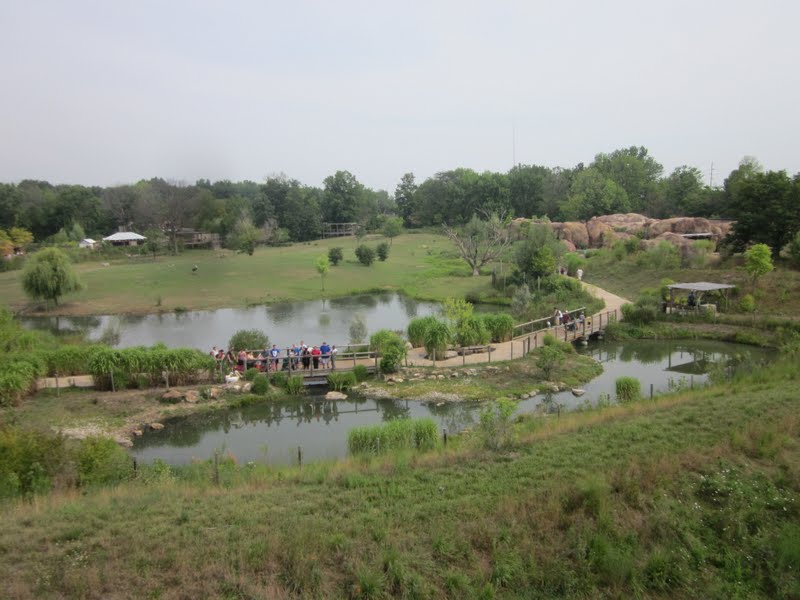Arrows Sent Forth: Fort Wayne Children's Zoo