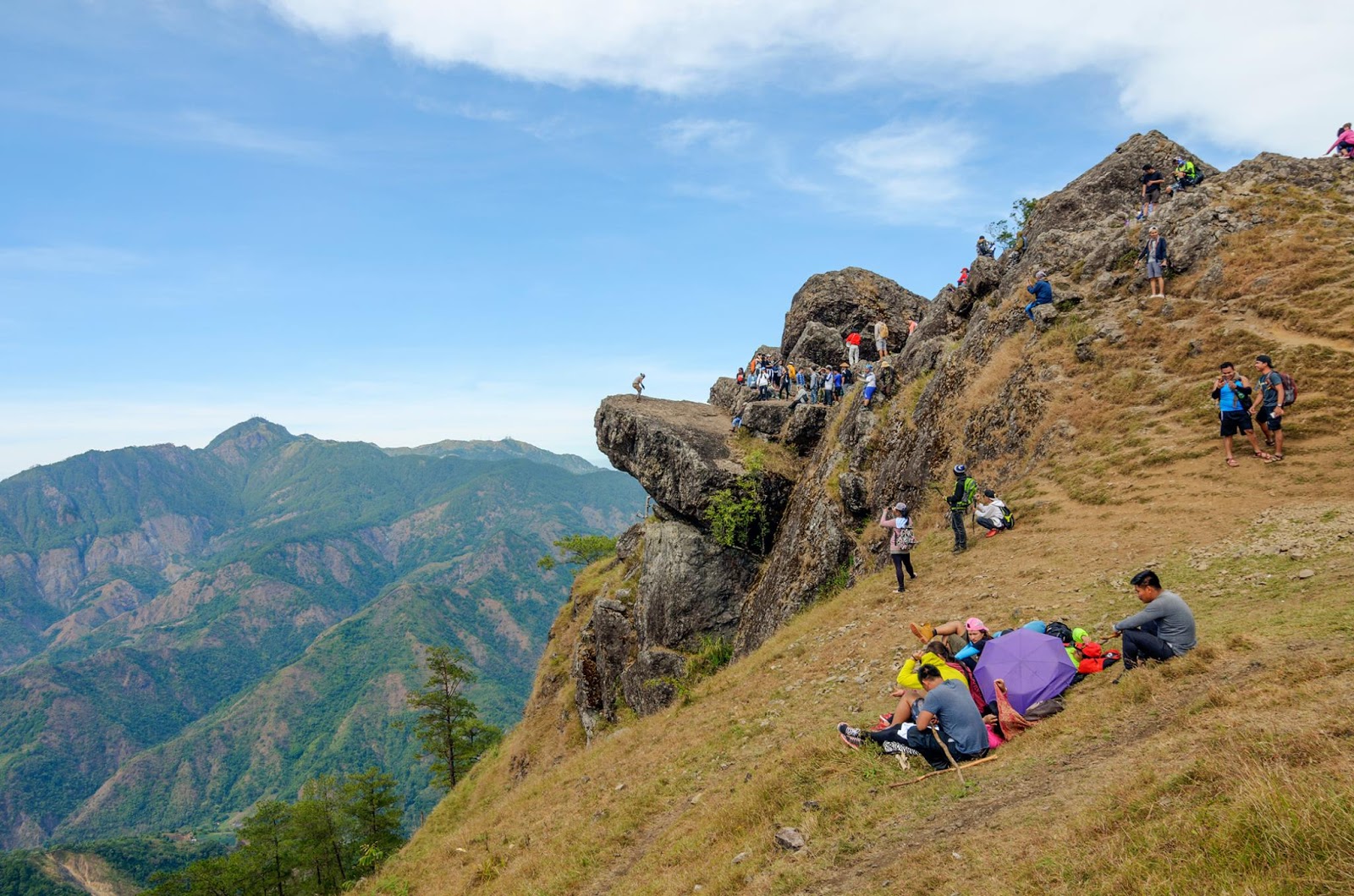 A Guide to Mount Ulap Cloud Mountain Ampucao Itogon Benguet | AvianQuests