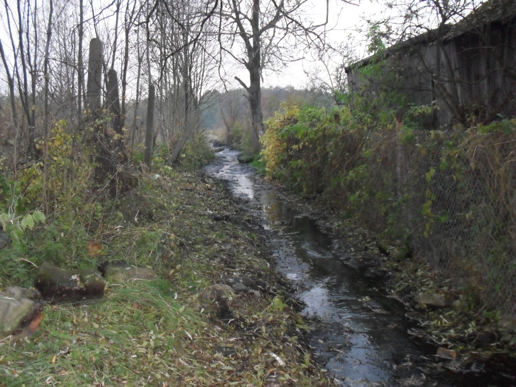 Lubojenka: Zdjęcia rzeki Wierzchowina w Lubojence po wyczyszczeniu