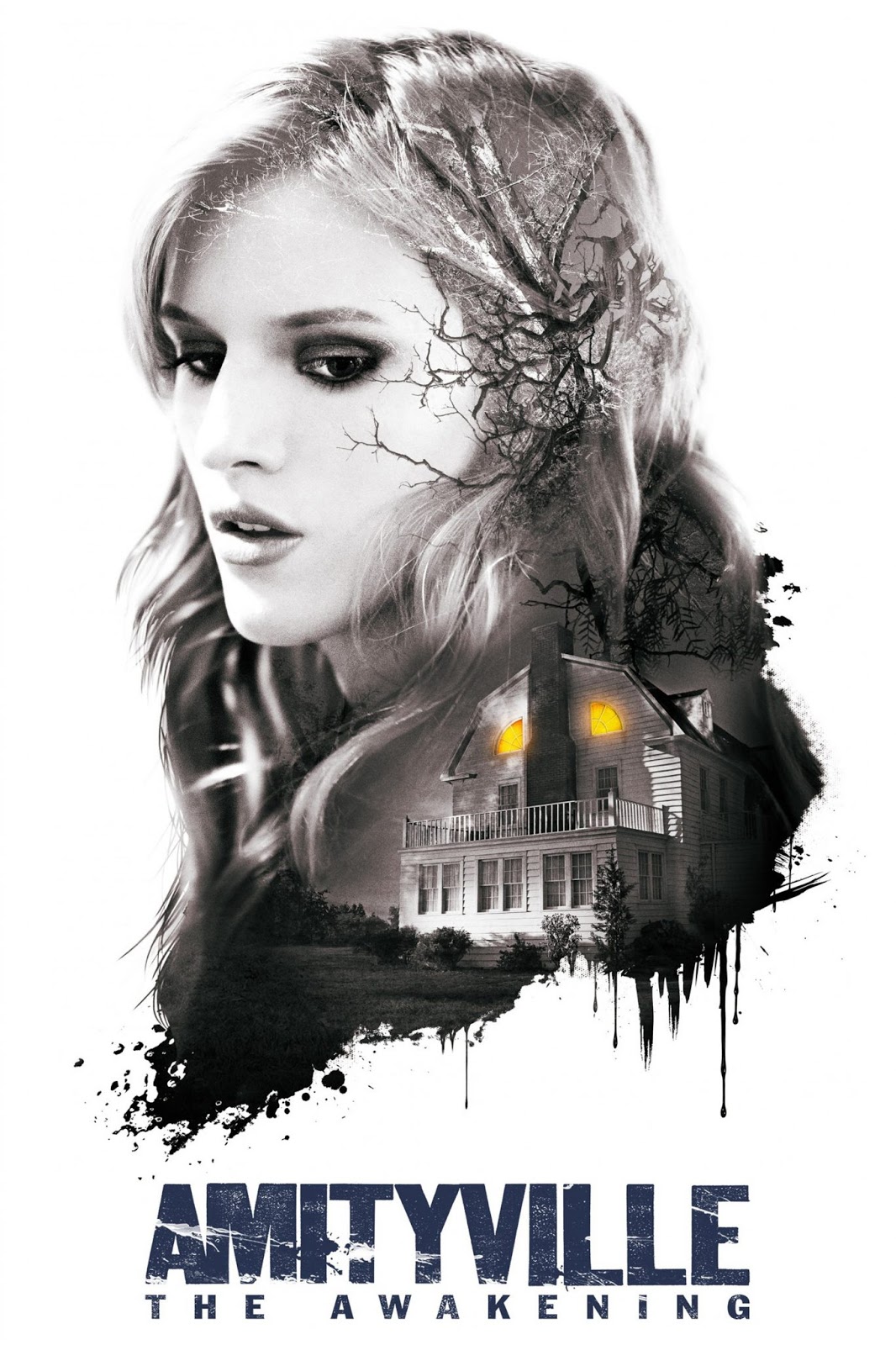 Horror Reviews and Something Else: Amityville: O Despertar