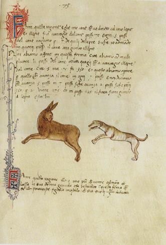 A álgebra medieval, renascentista e moderna - Ciência de Garagem