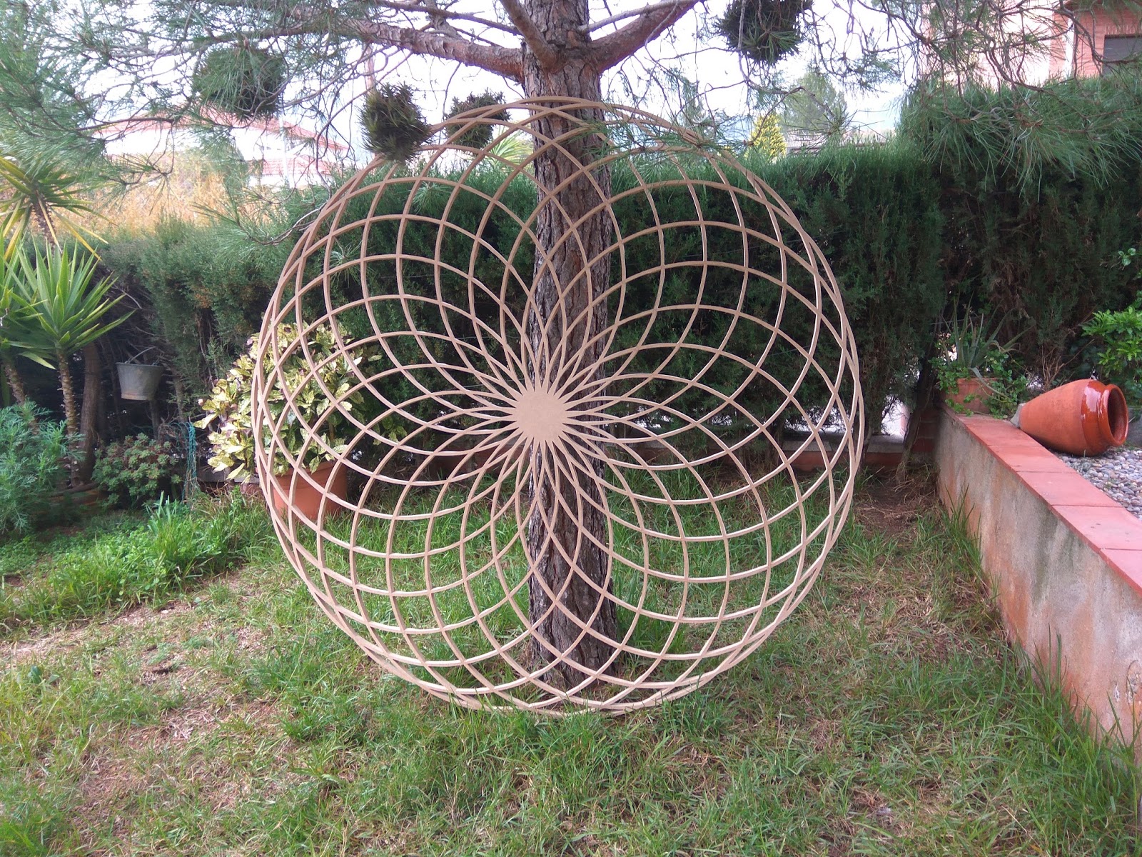 Geometria Sagrada. Mandalas en Madera y Color. : Toroides