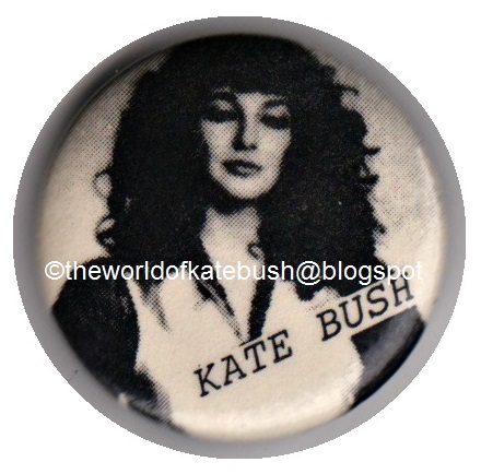 THE WORLD OF KATE BUSH: Badges