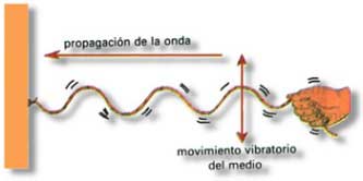 EL FÍSICO LOCO: Velocidad de propagación de una onda