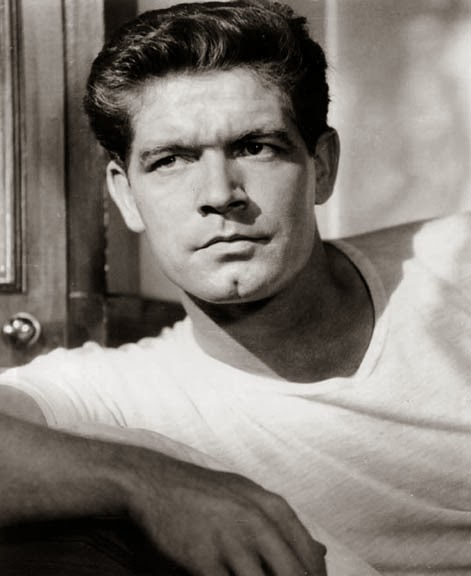 IAV: Belleza e Historia de Stephen Boyd