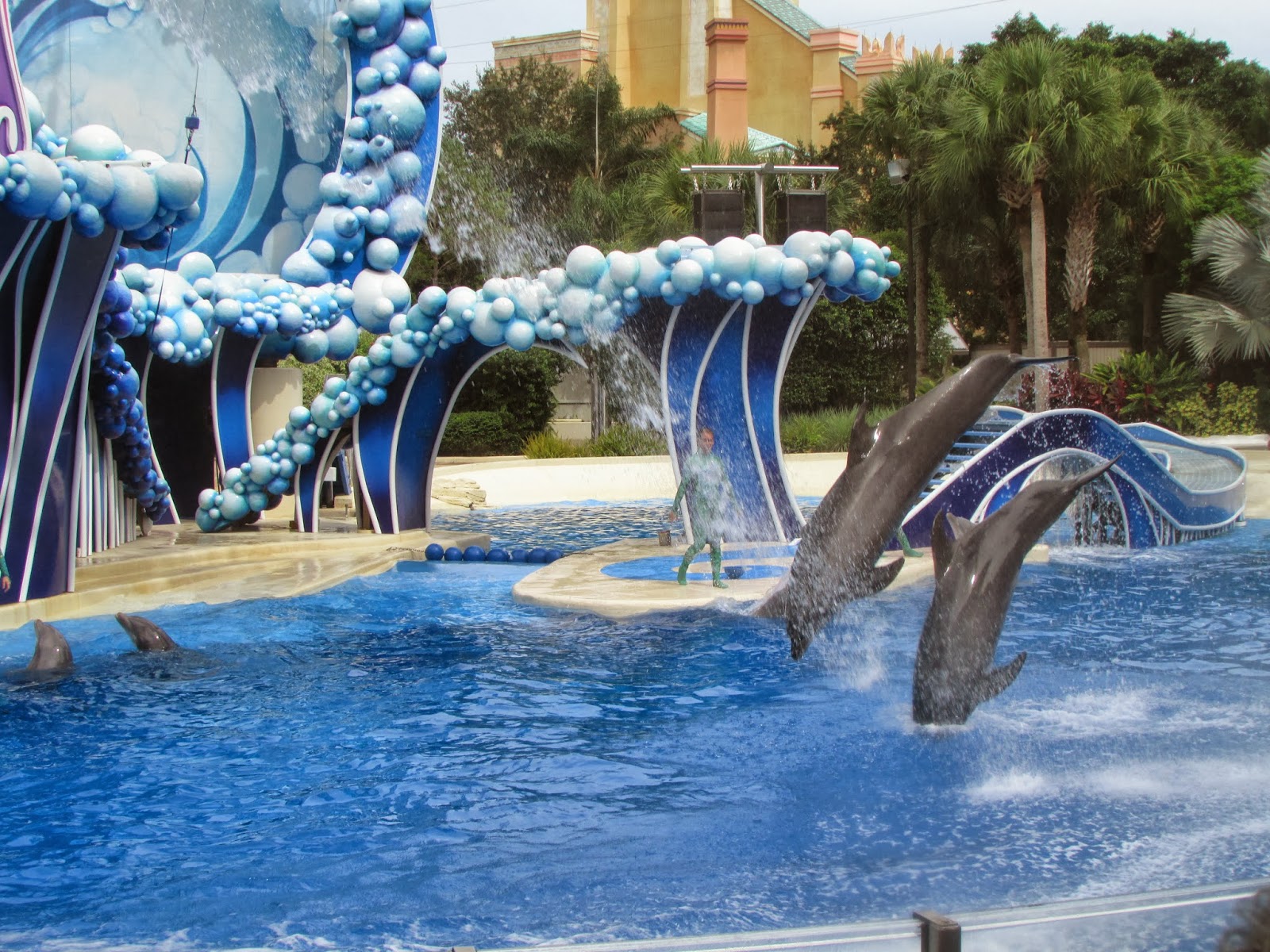 Pam's blog: Seaworld - great shows, characters and good weather