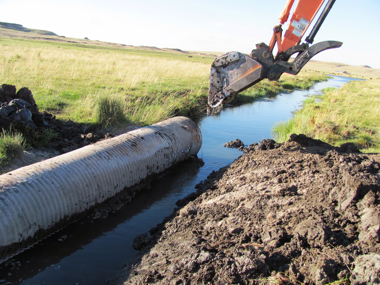My Ranch Life: What would a cowboy do?