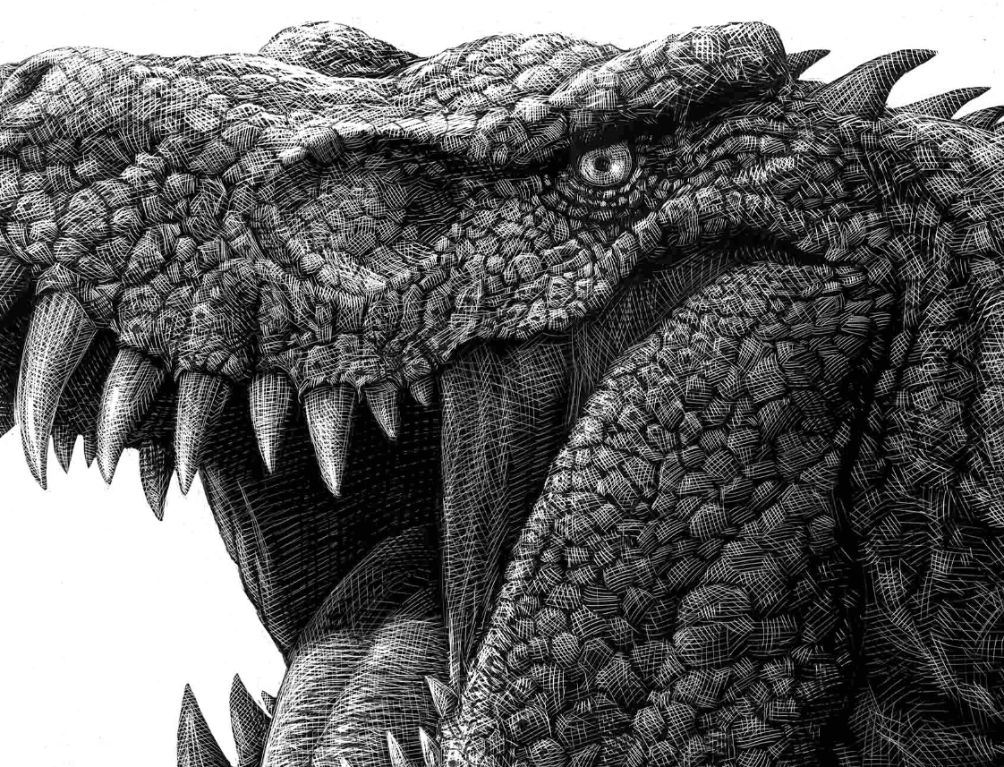 Design Stack: A Blog about Art, Design and Architecture: Wild Animals ...