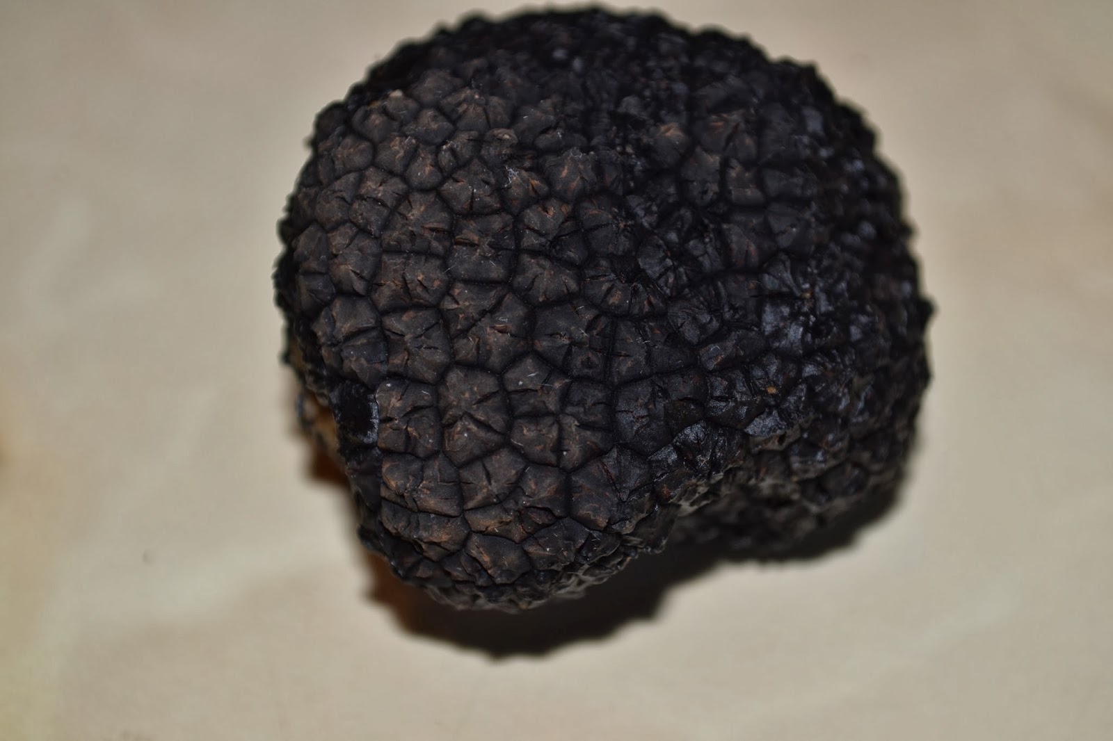 Trufe Romania Albe si Negre