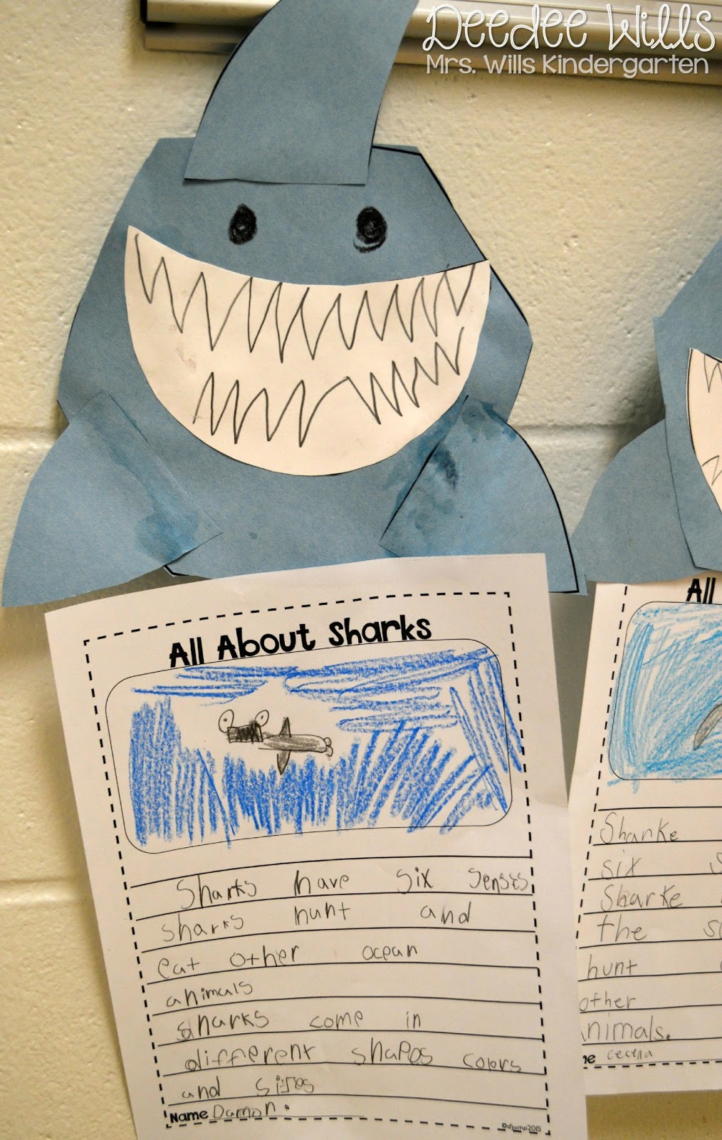 Ocean Week Lesson Plans for Kindergarten & 1st