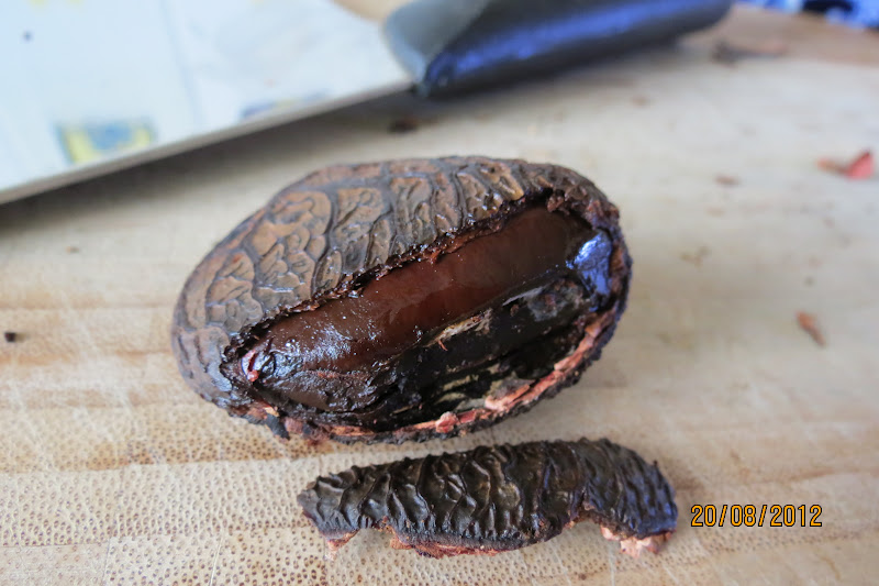 JENCOOKS: TRUST NEEDED TO EAT AYAM BUAH KELUAK