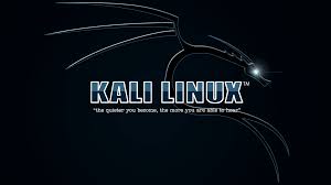 Kali Matrix: Kali Linux
