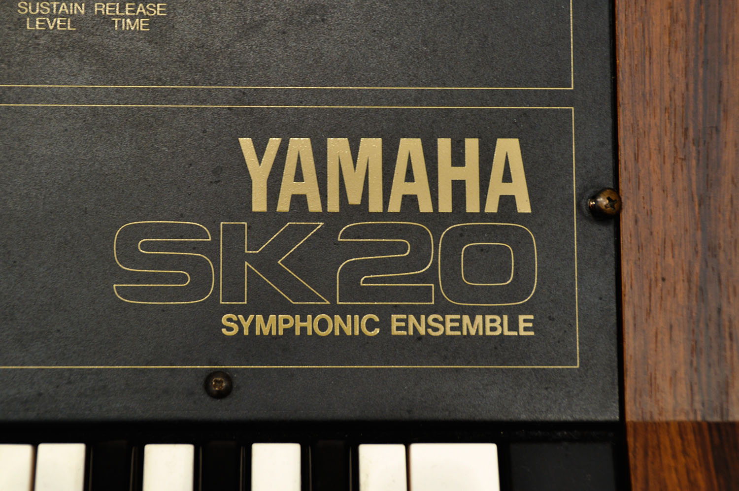 The William Salmela Project: YAMAHA SK-20