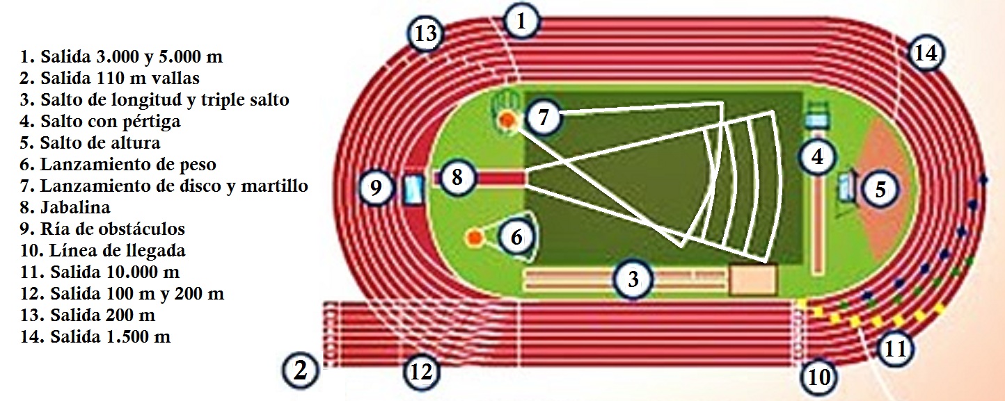 Asignaturas: PISTA DE ATLETISMO
