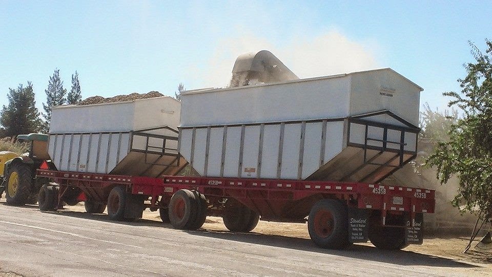 Titere con Bonete: Almonds Snacks - Versatile and Low Carb