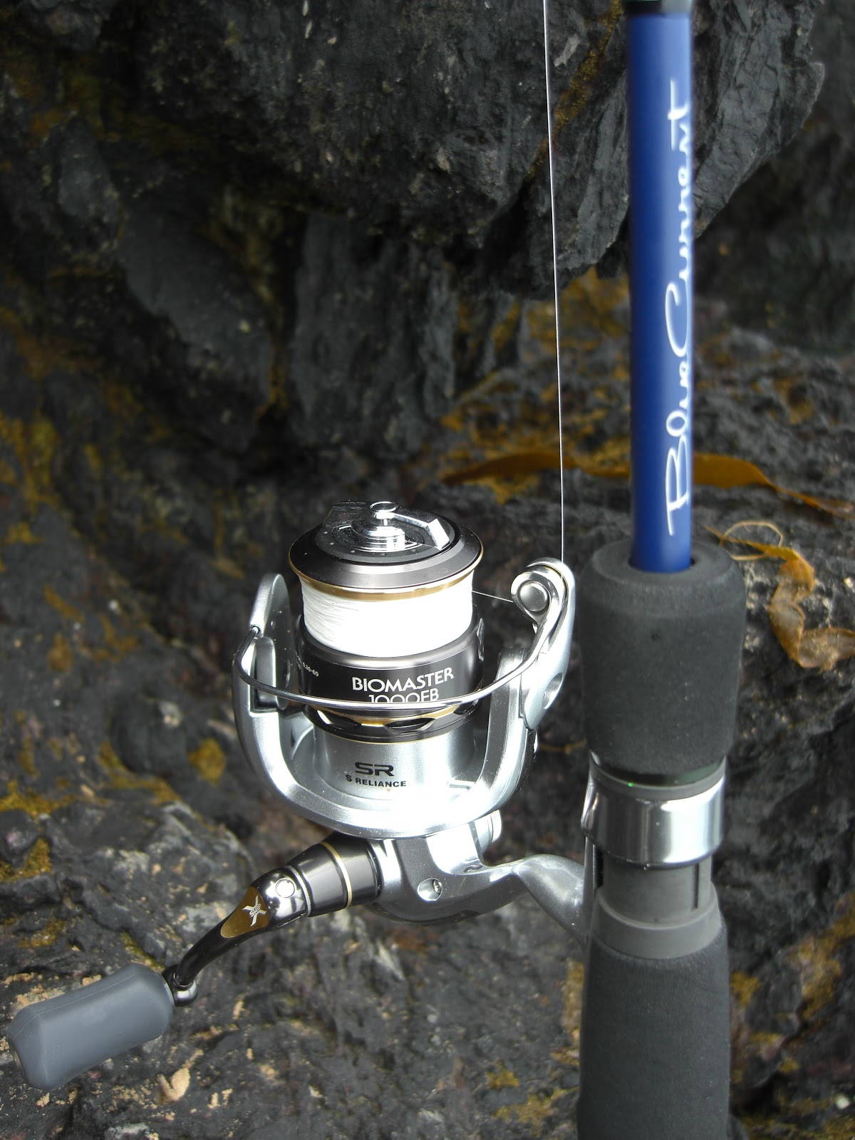 Lure and Light Game: Shimano Biomaster addition.