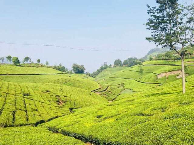 Tamilnadu Tourism: Droog Fort & View Point, Coonoor, Nilgiris