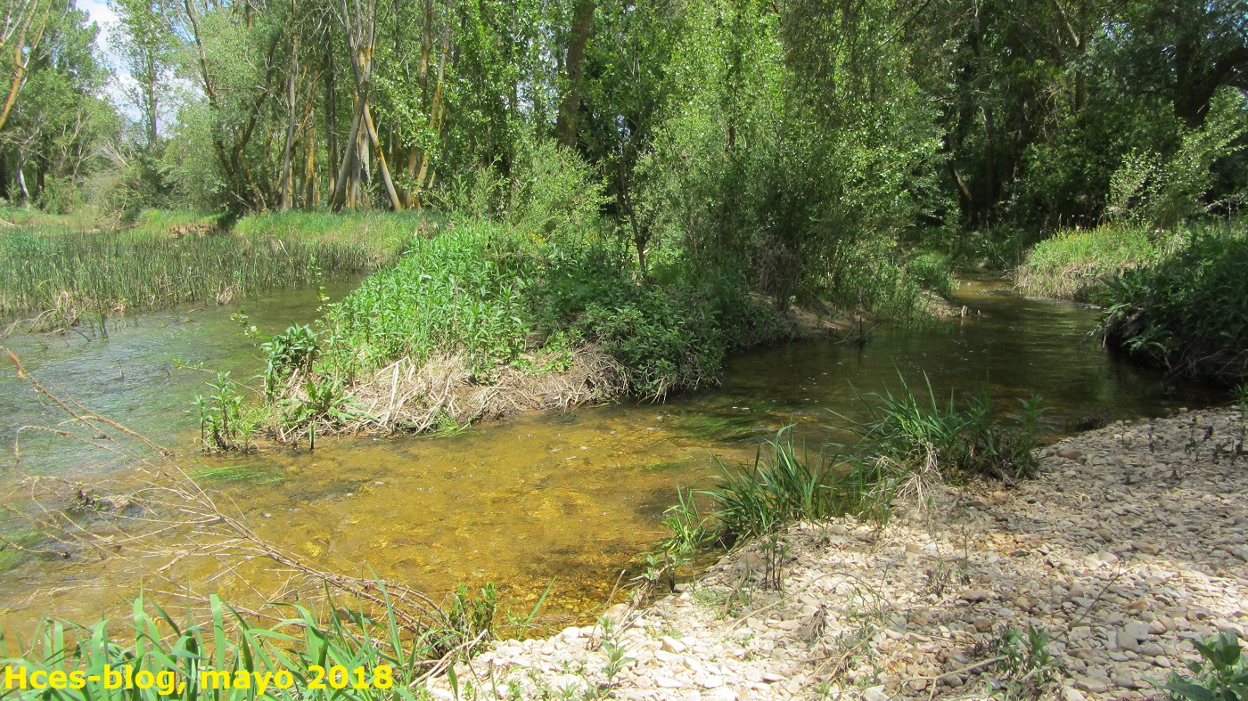 Huérmeces (Burgos): El río Brullés: de Fuencivil a Villasandino