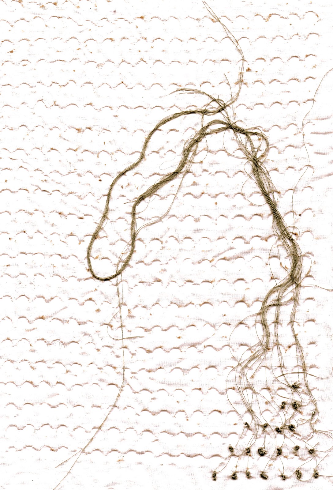 Anna Columbine: Stitch and Scan.