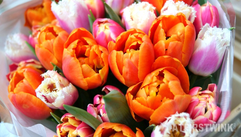 Flower market in Rotterdam