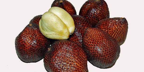 diet tepat dengan buah salak - cara cepat menurunkan berat badan