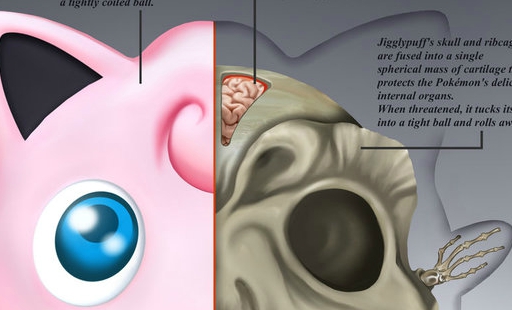 ANATOMÍA POKEMON (Finalizado)