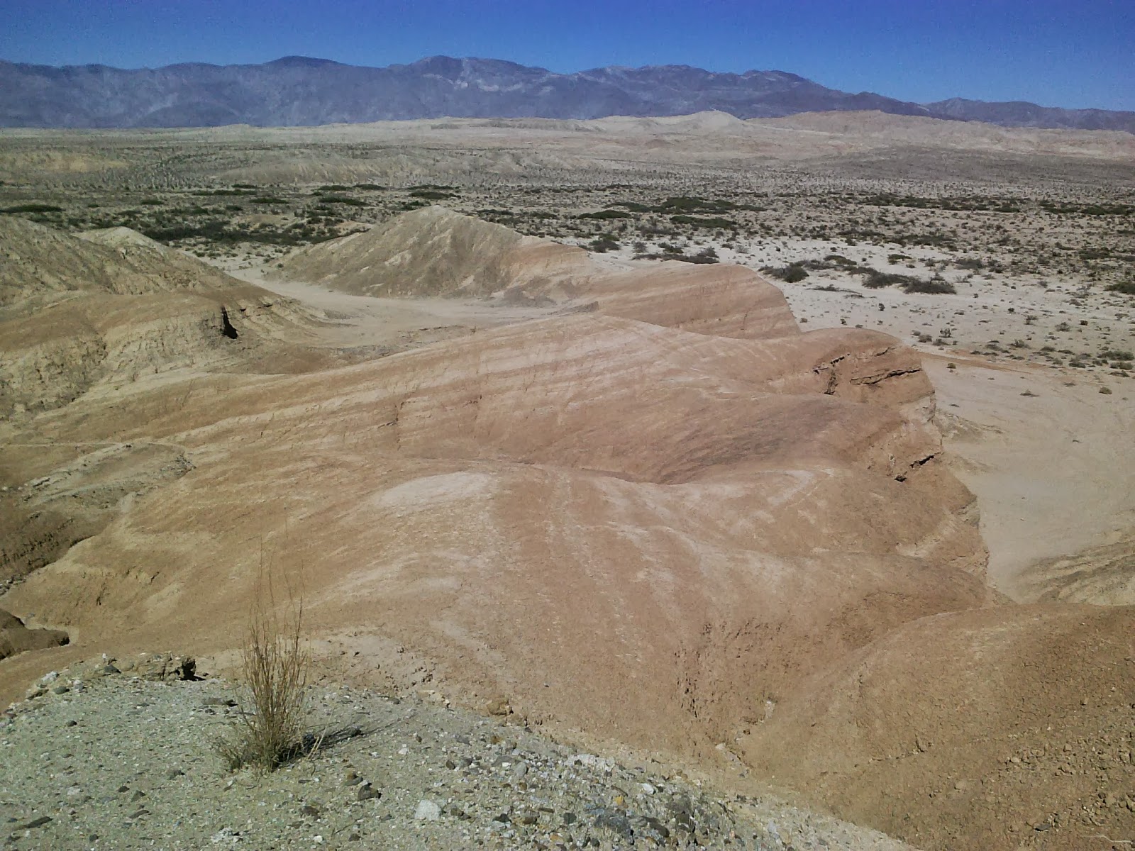 AdventureGraham: ABDSP: Culp Valley, Coyote Canyon, Kane Springs Road ...