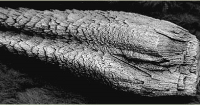 Unidentified Anomalous Phenomena - scientific research: Physical ...