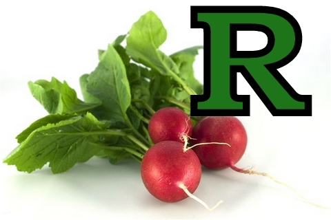 Cocina a la Carta: Diccionario Culinario. Letra R