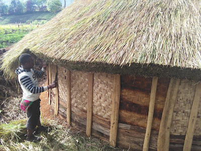THE ENPOSE PNG: Back to the roots-up in the Highlands of Papua New ...