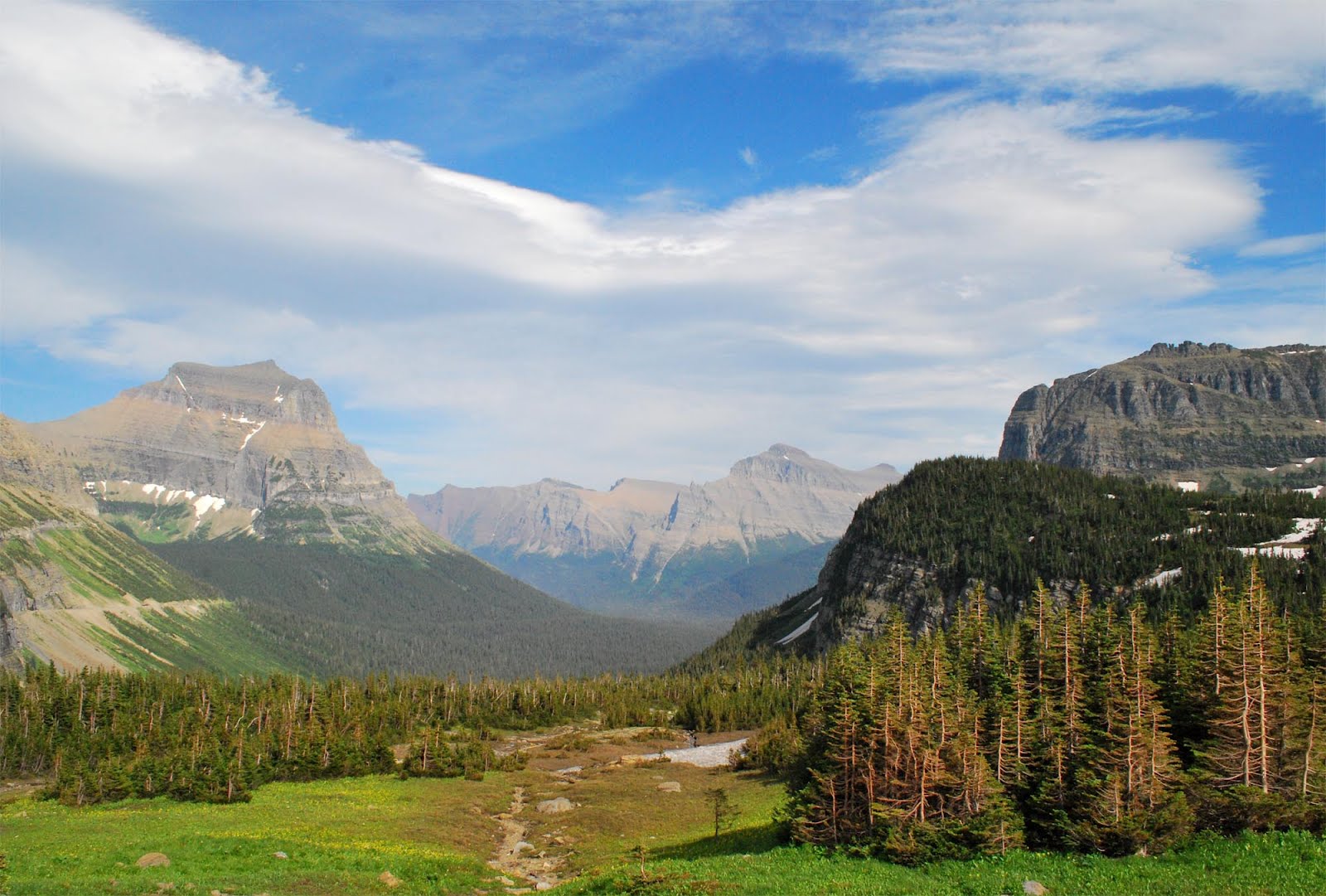 Outside Of The Bubble Logan Pass Photo