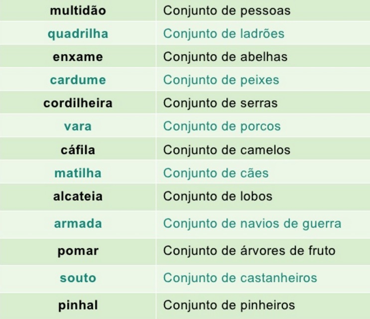 PEQUENOS CURIOSOS SE9: Janeiro 2016
