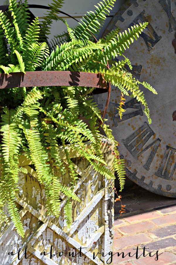 All About Vignettes: Easy Landscaping With Vines and Ferns