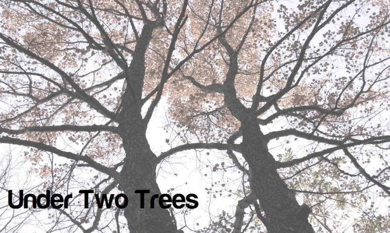 Under Two Trees: Trees Are Awesome Beings