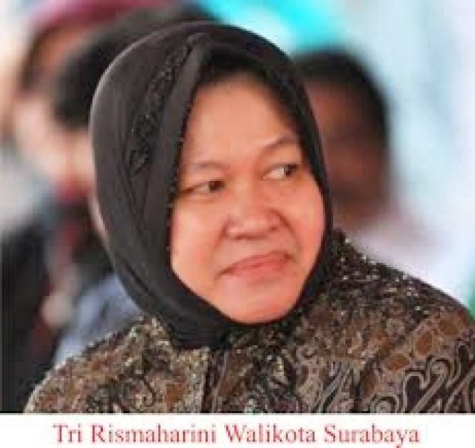 nur zaenudin: Bu Risma