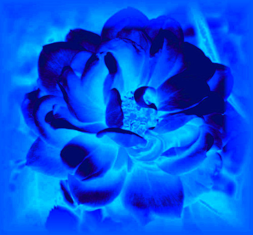 La terrible historia del color azul - El mundo y su realidadEl mundo y ...