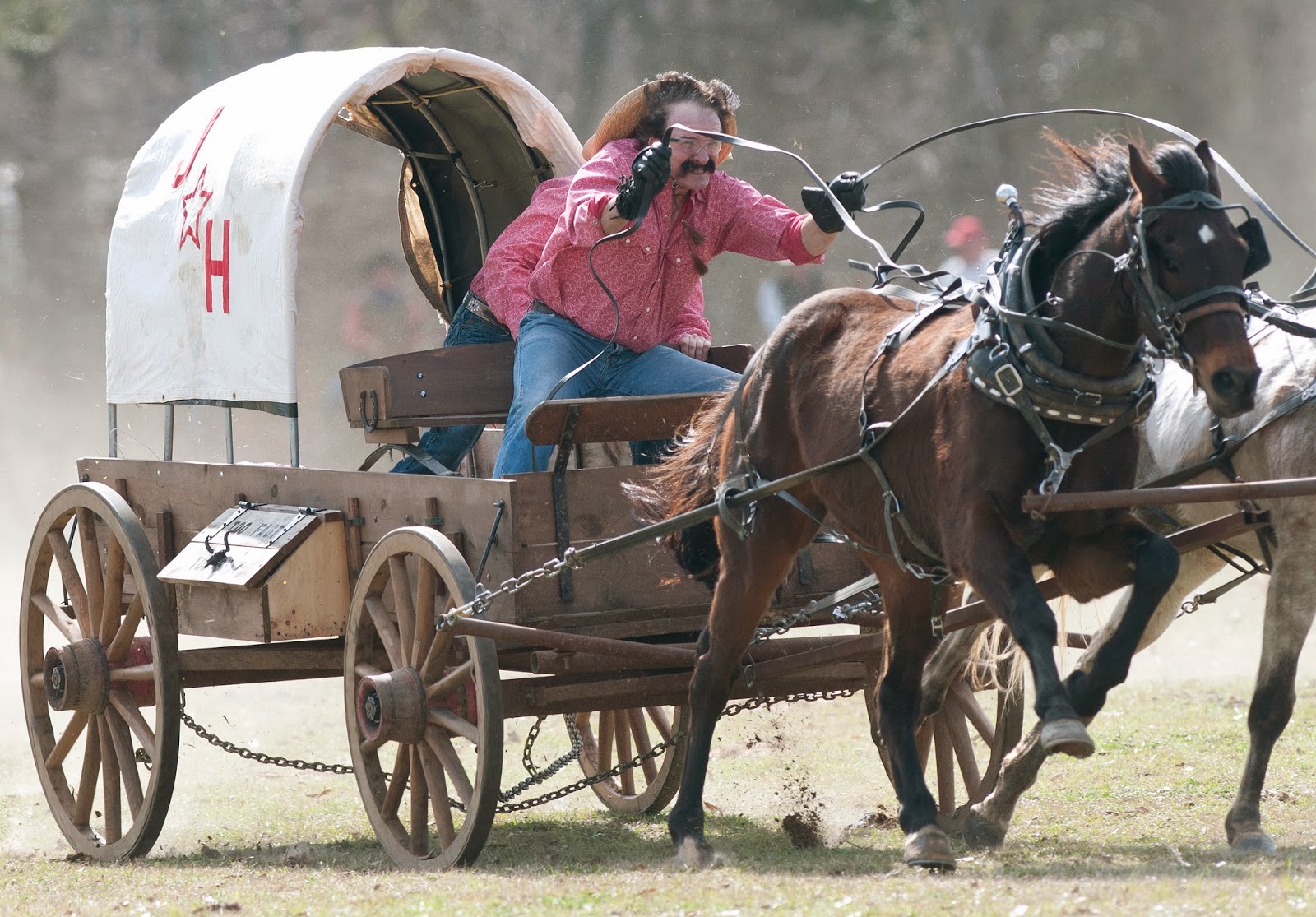 Chuckwagon Races