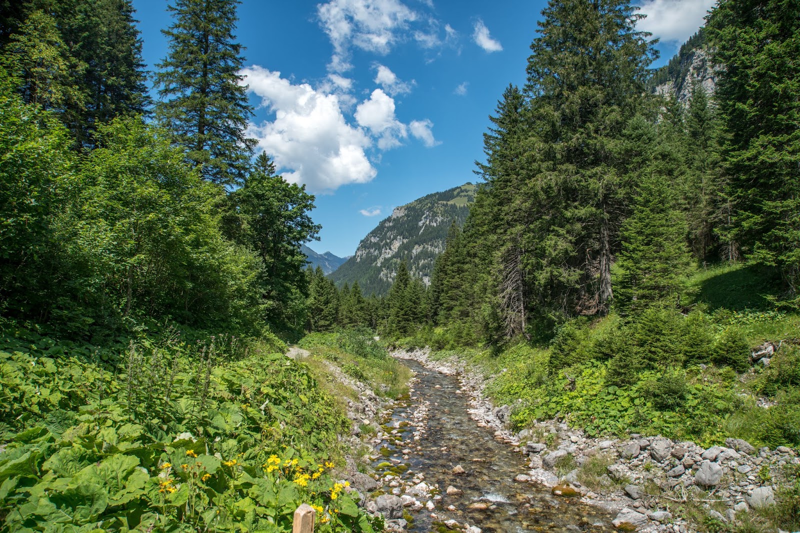 Bergtour Rappenstein von Steg | Wandern Fürstentum Liechtenstein