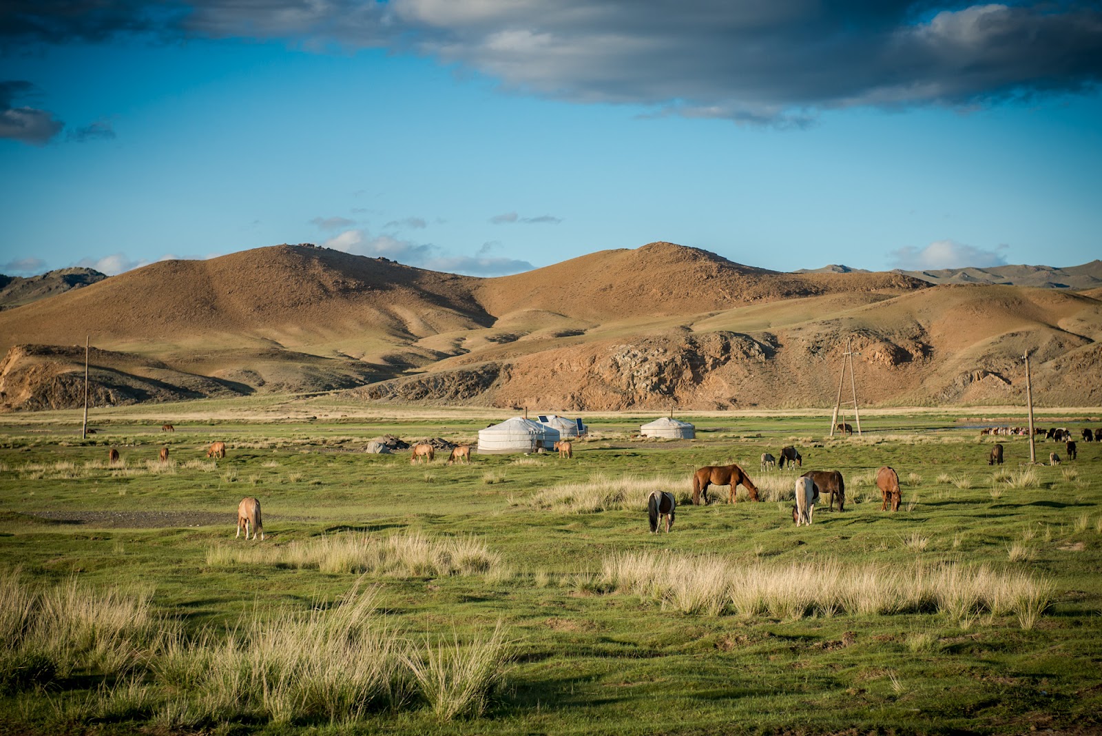 Ben Davis Photography: On the Mongolian Road