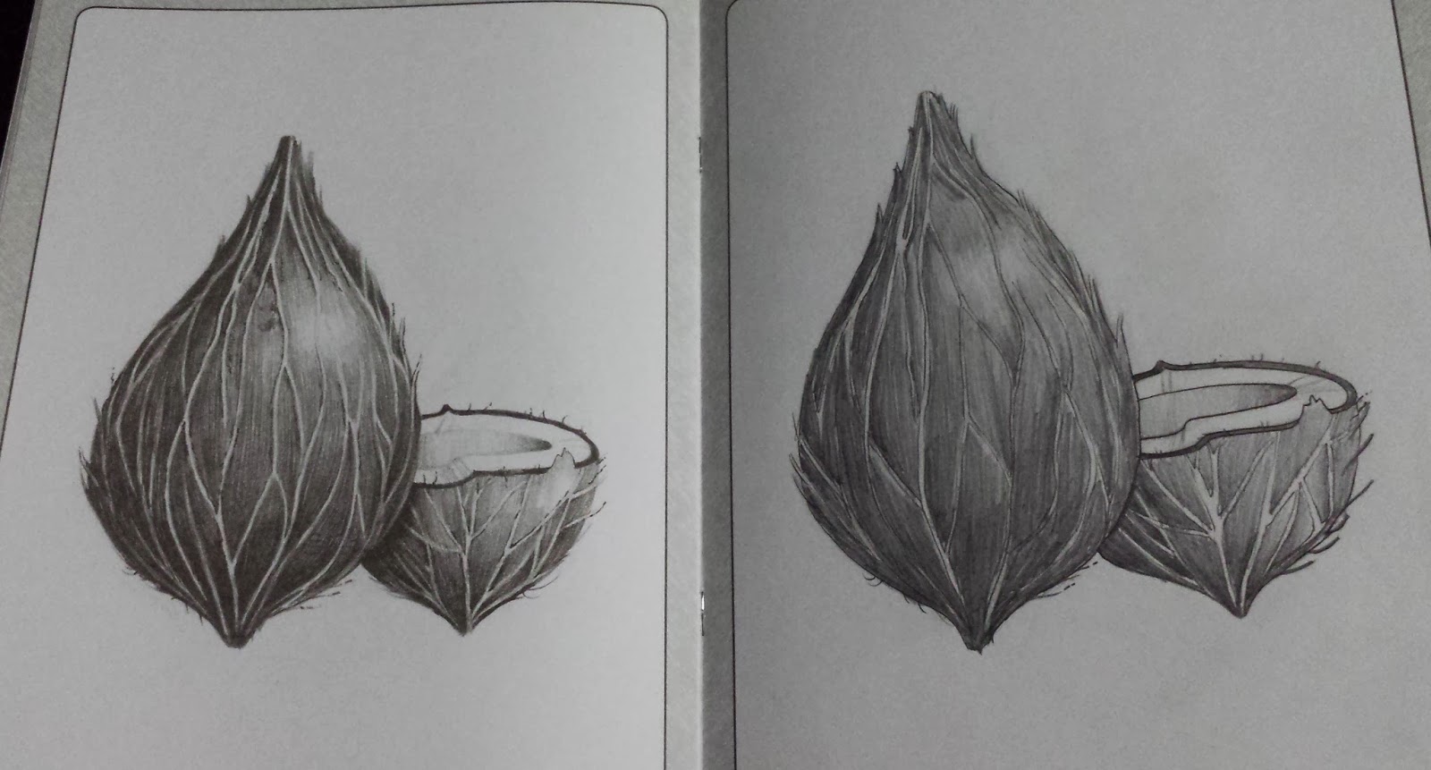 Pencil-Shading: 1st stage of Pencil Shading