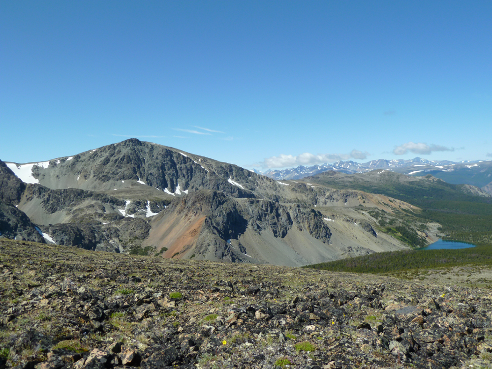Terry Taylor's Ecology Notes: Timberline