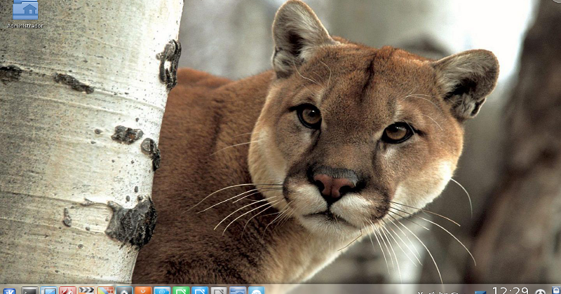 Open In Terminal Ubuntu 14 04
